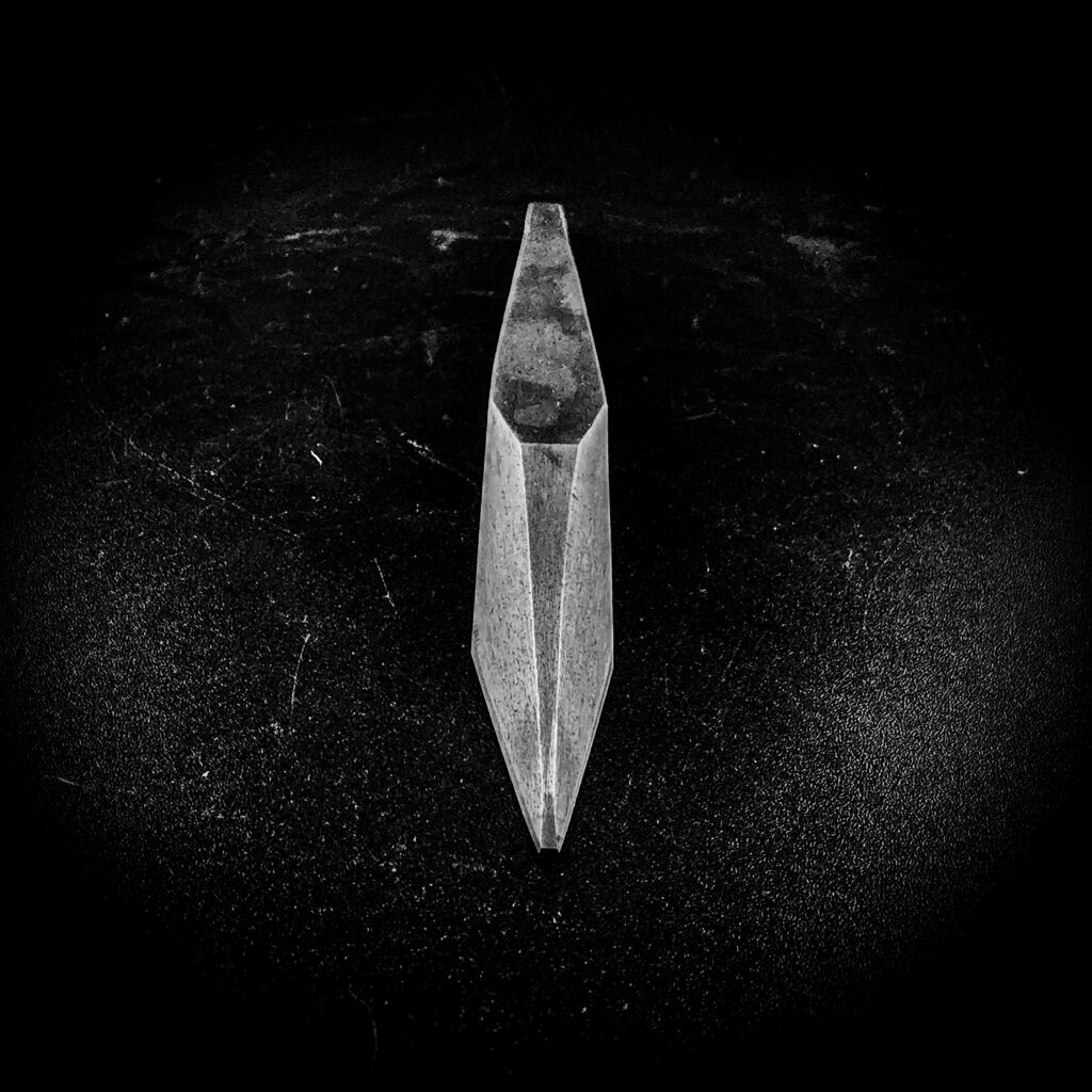 Meganeura – Giant Dragonfly - Delta2Alpha